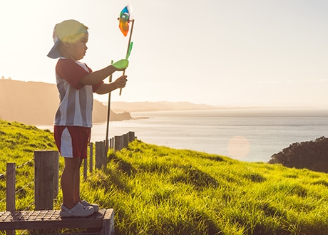 Sustainability Practices and Partnerships - PMG Funds