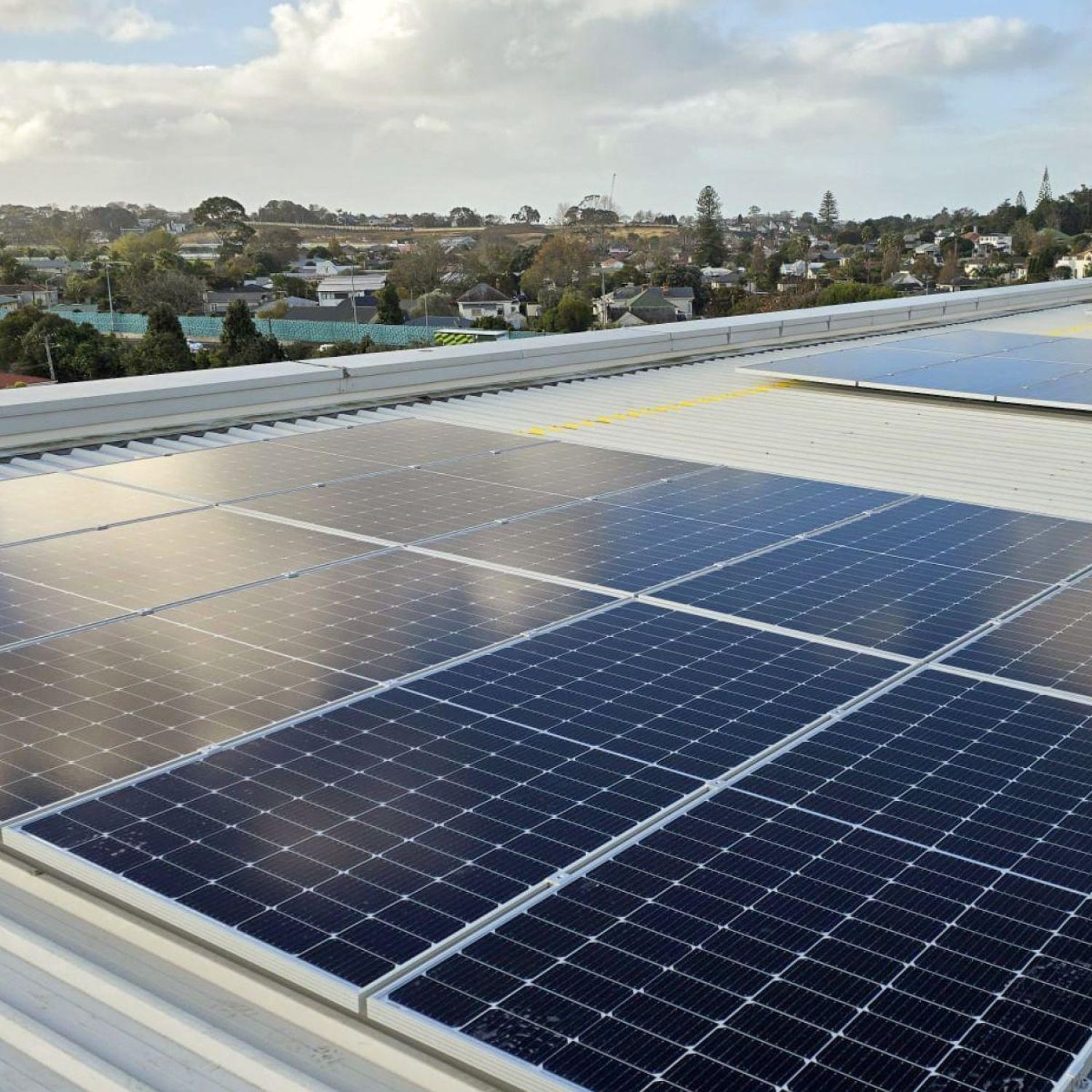 Sustainable strategies for success in a tough economy - PMG Funds