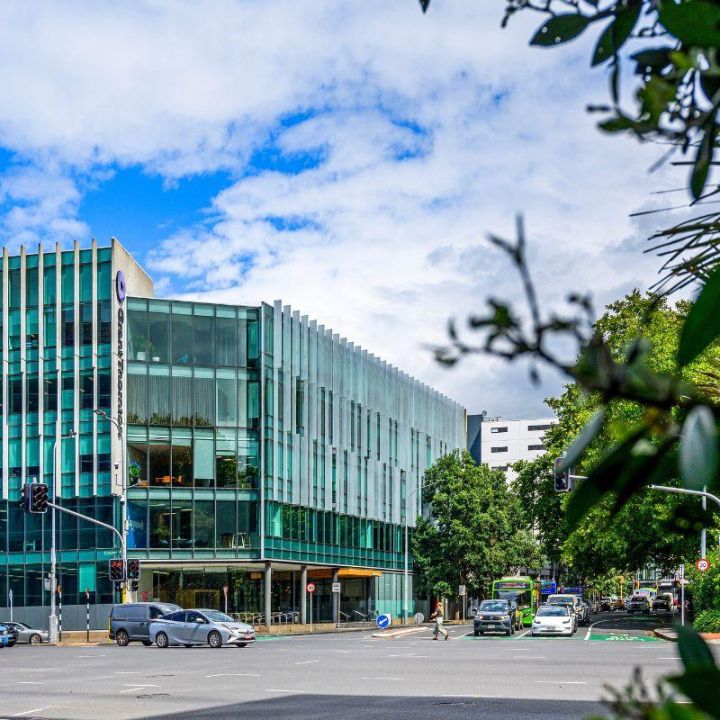 Investing in sustainability: the long-term advantage - PMG Funds